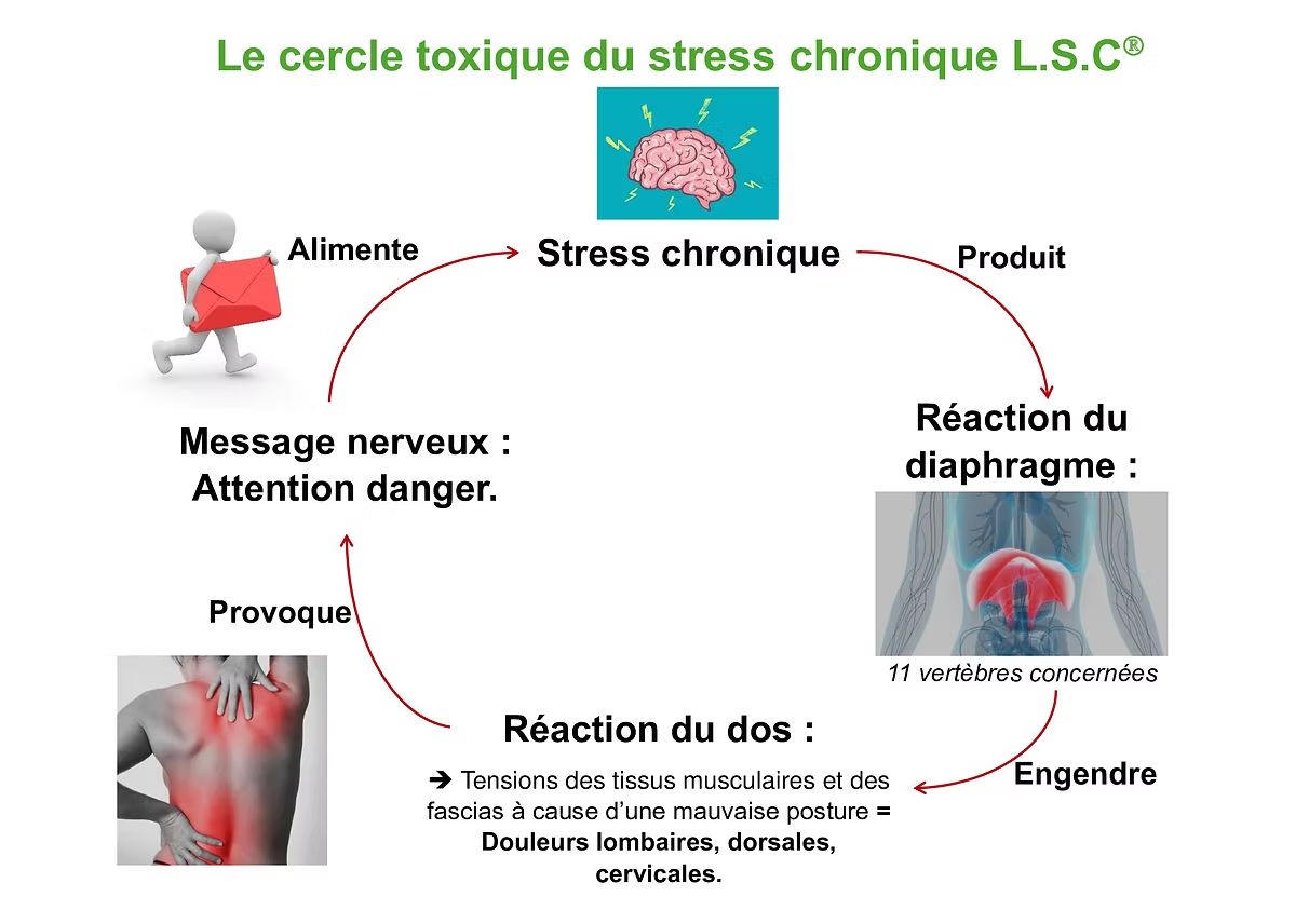 L.S.C. lutte contre le stress chronique - La Ballade De Lalie